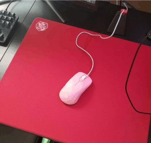 A Clean Mouse Pad: Why Regular Maintenance Matters | EarthSential