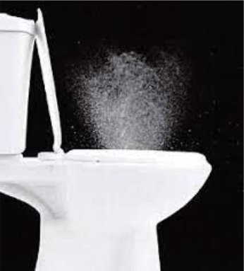 Hidden Hazards: Germs Released by Toilet Flushes