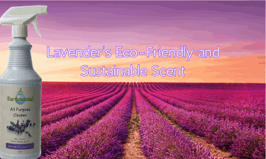 Lavender's Eco-Friendly and Sustainable Scent - EarthSential